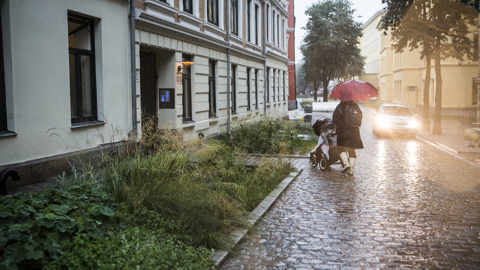Et dypdykk i regnbedet • Prosjekter
