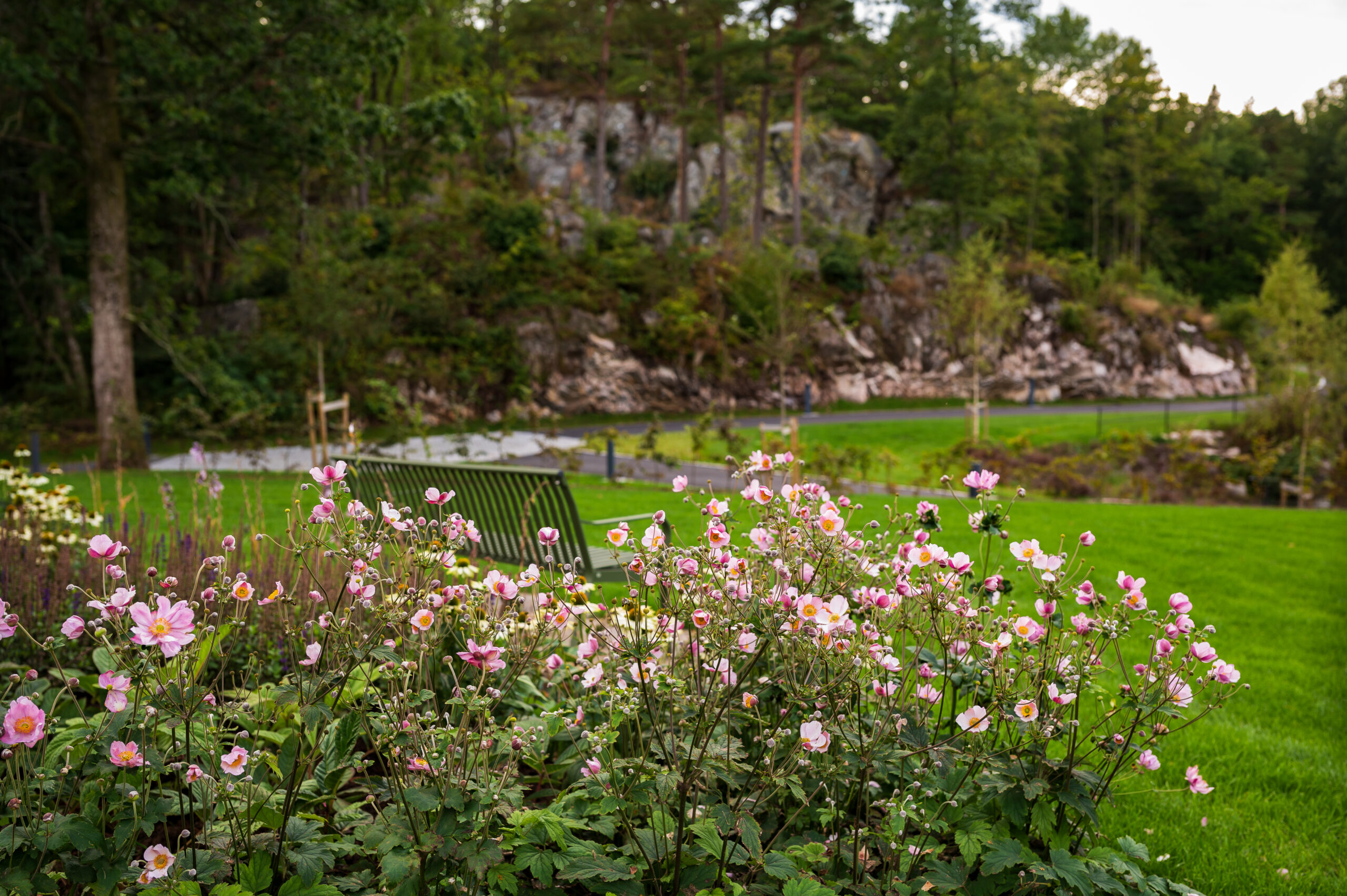Randesund gravplass • Prosjekter